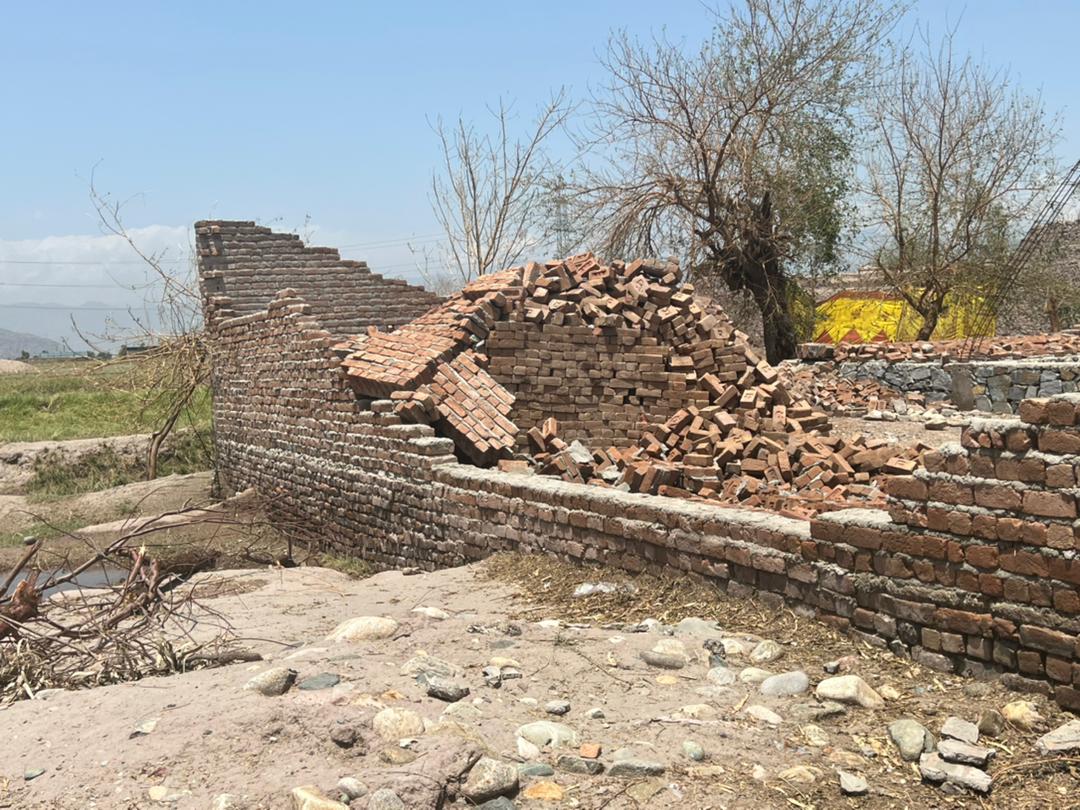 Pakistan Atta Project - SWAN: London's Fastest Growing Charity